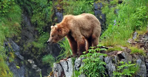 Most Biodiverse Countries on Earth - Textbook Travel