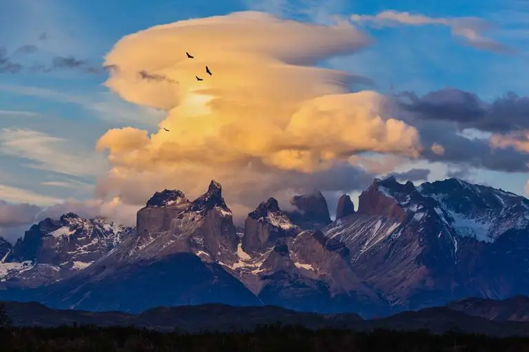 What Are Birds of Prey? Explore All 13 Types of Raptor - Textbook Travel