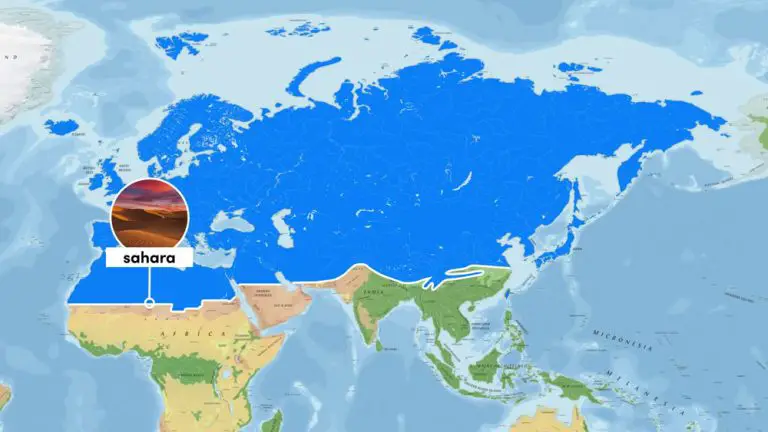 All 8 Biogeographical Realms | Their Animals & Geography