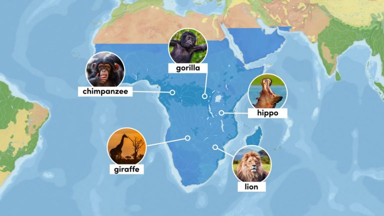 All 8 Biogeographical Realms | Their Animals & Geography