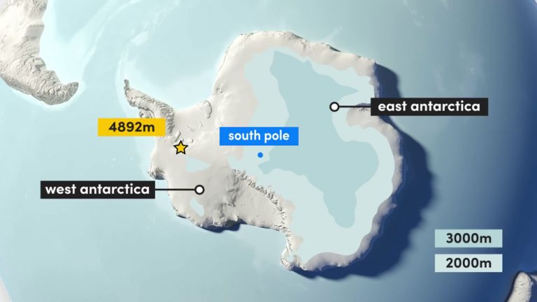 All 8 Biogeographical Realms | Their Animals & Geography