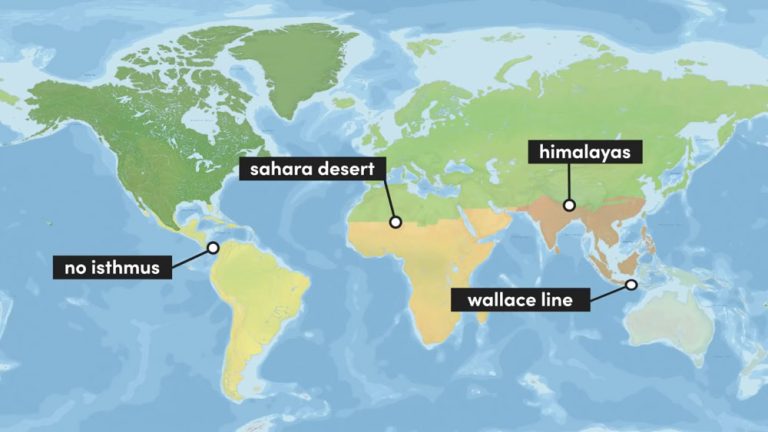 All 8 Biogeographical Realms | Their Animals & Geography