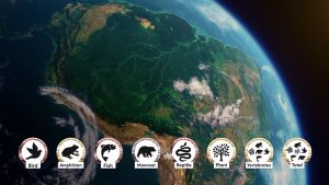 All 17 Megadiverse Countries with Photos & Heat Map