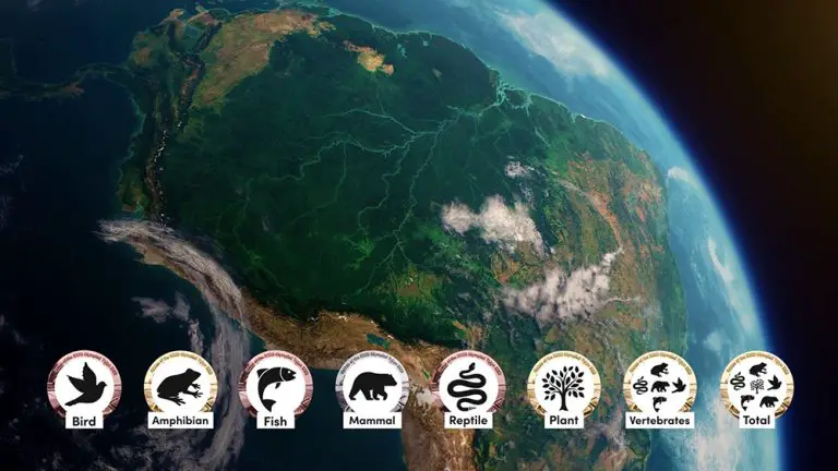 All 17 Megadiverse Countries with Photos & Heat Map